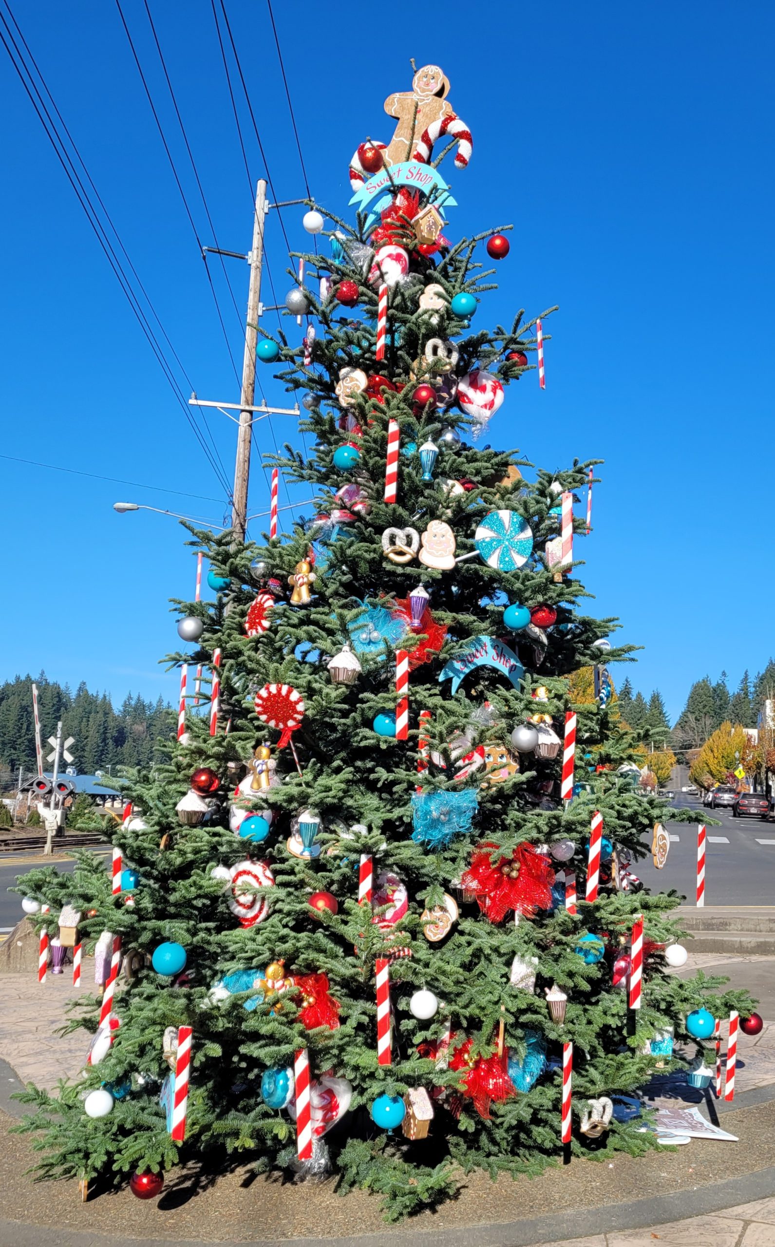 TOLEDO TREE LIGHTING CEREMONY, UMBRELLA PARADE & COMMUNITY PARTY ...